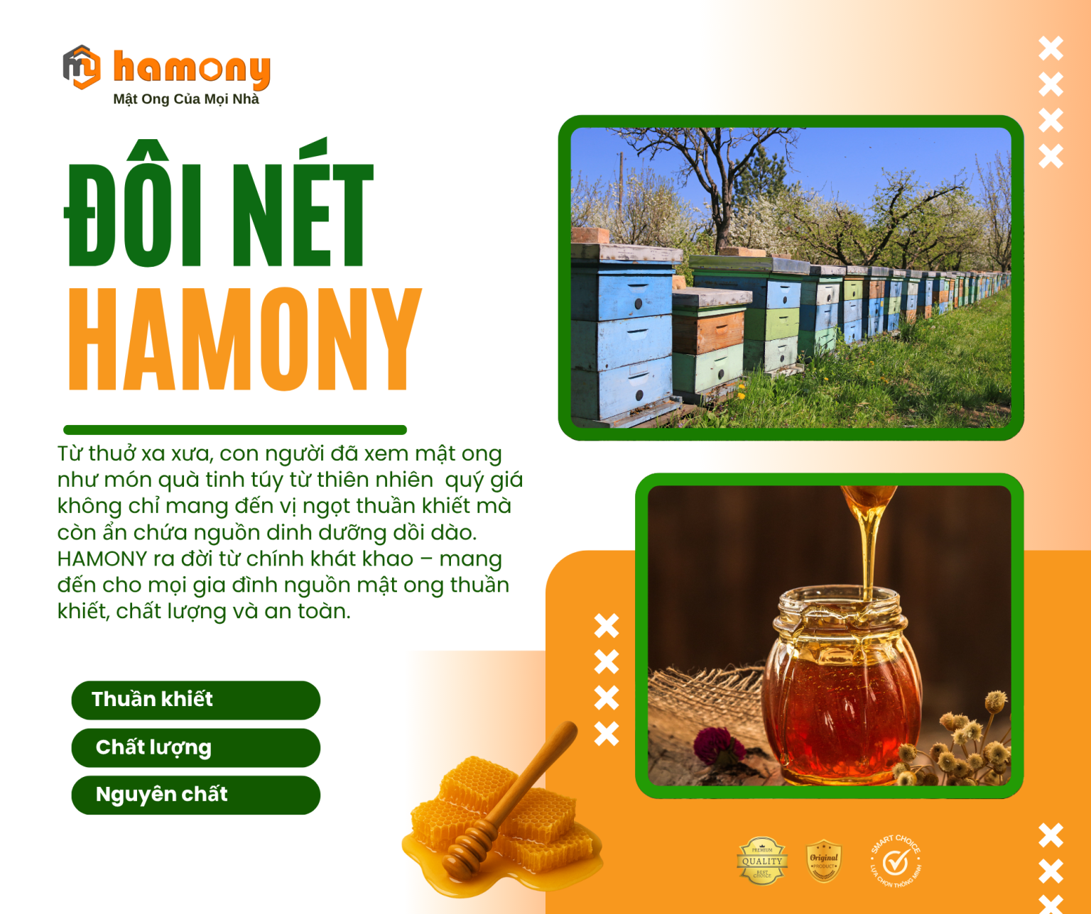 Trang Chủ: Hamony -Mật Ong Của Mọi Nhà - Sản xuất & Kinh Doanh Ong Mật ...